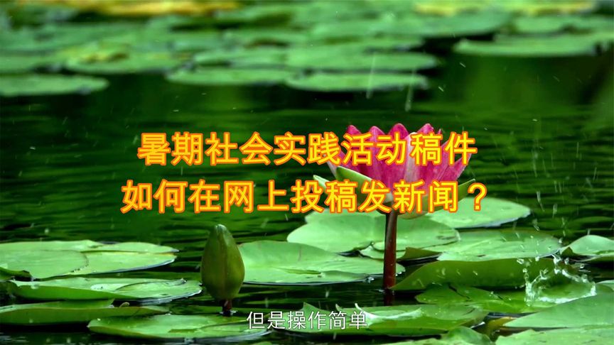 暑期社会实践活动稿件如何在网上投稿发新闻?