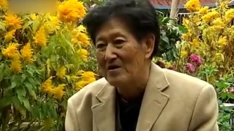 潮汕文化是中华民族优秀文化的重要组成部分!