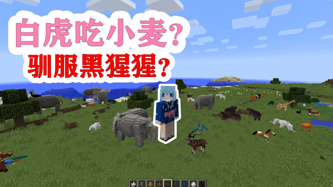 我的世界Mod:老虎吃小麦?驯服黑猩猩?多彩的动物世界模组