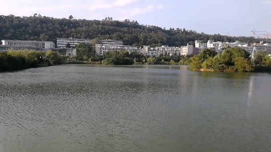 走进福建农林大学,漂亮的小姐姐真多,但我不敢拍,风景很漂亮