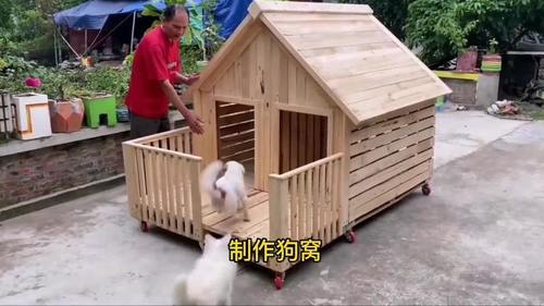 30年的木工师父,给狗狗制作一个狗窝