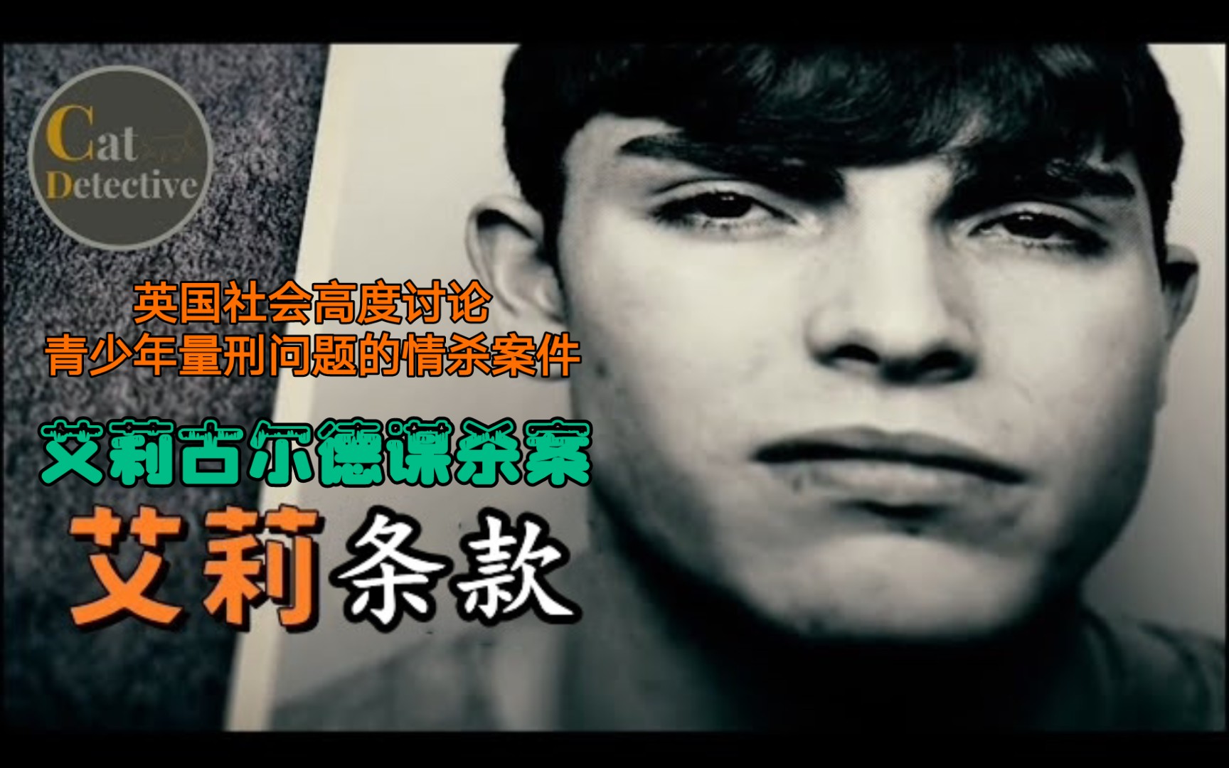 ...少女在家遇害法官破例公开少年凶手身分,艾莉条款背后的真相 猫侦探