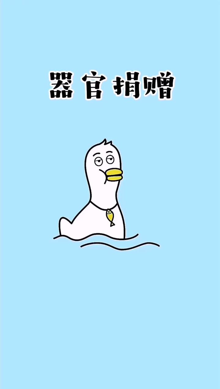 器官捐献♥️ߐ�#嘎嘎涨知识 #器官捐献志愿者