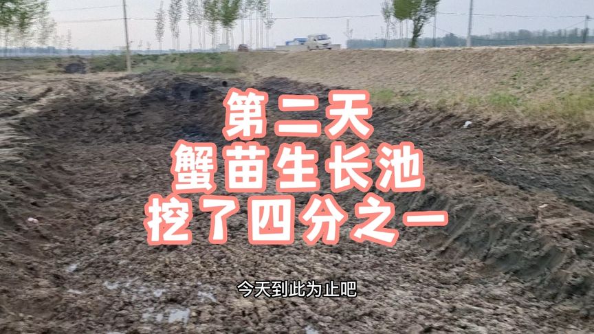 稻田蟹养殖(建设蟹苗生长池)