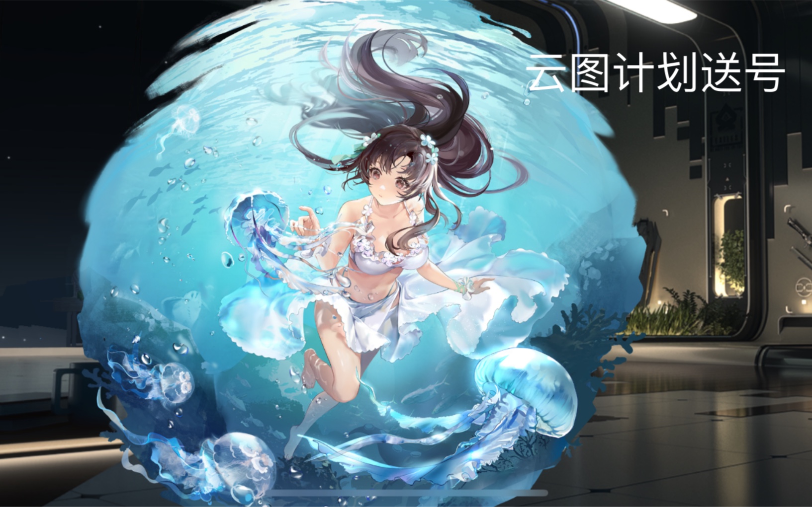 云图计划,找个有缘人送号