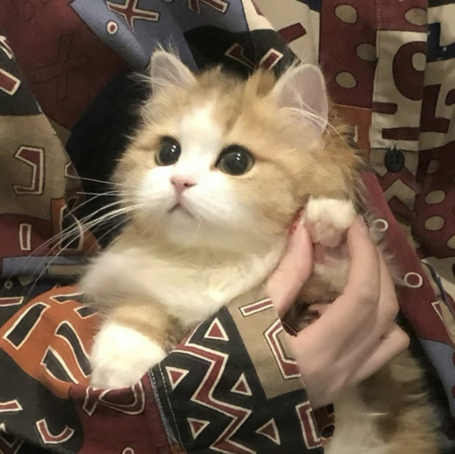 唐sir没有设置昵称 