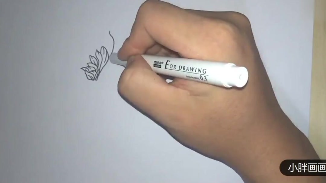 花卉绘画——菊花 线描,简单易学!