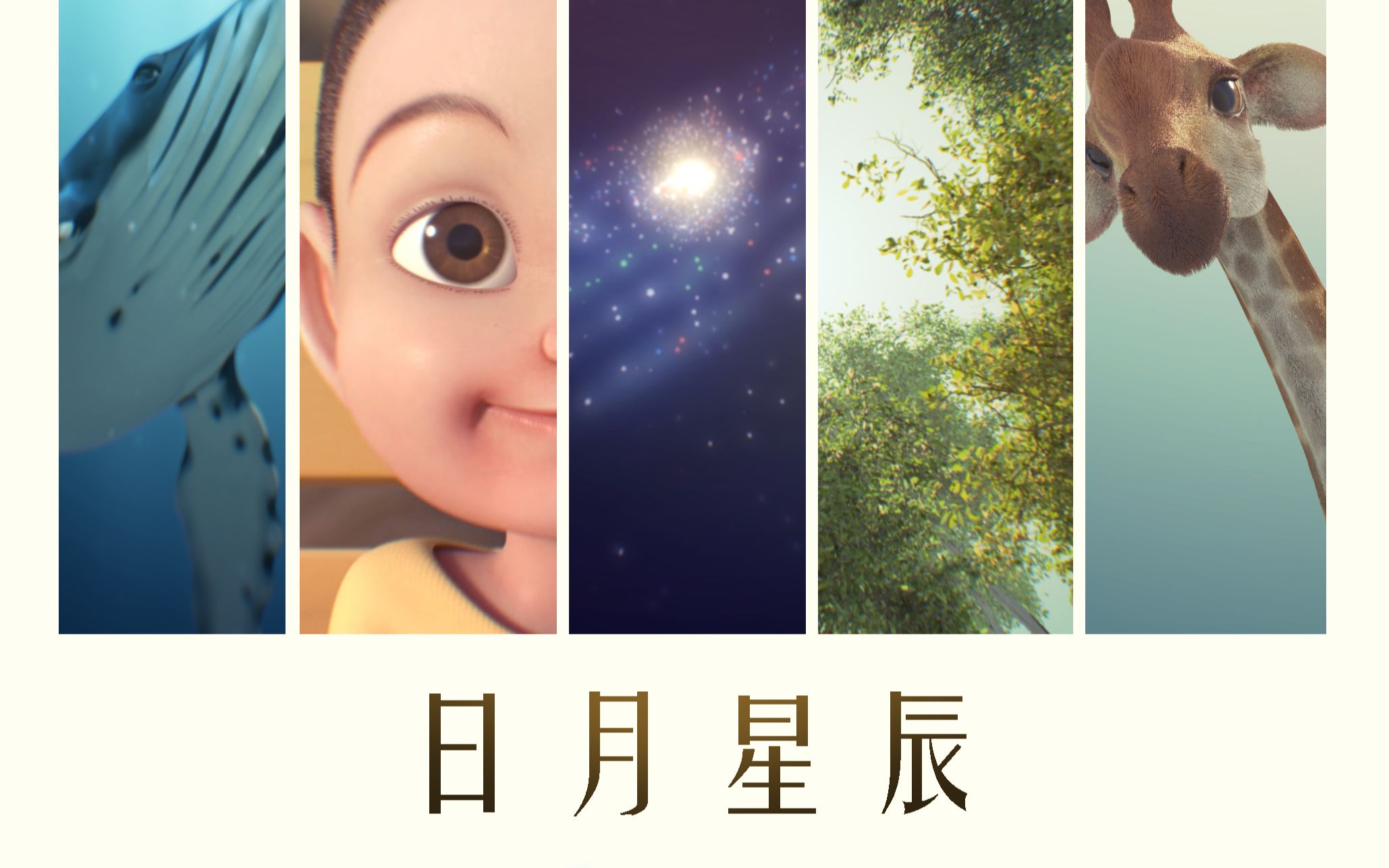 原创动画短片《日月星辰》献给父母 2022年