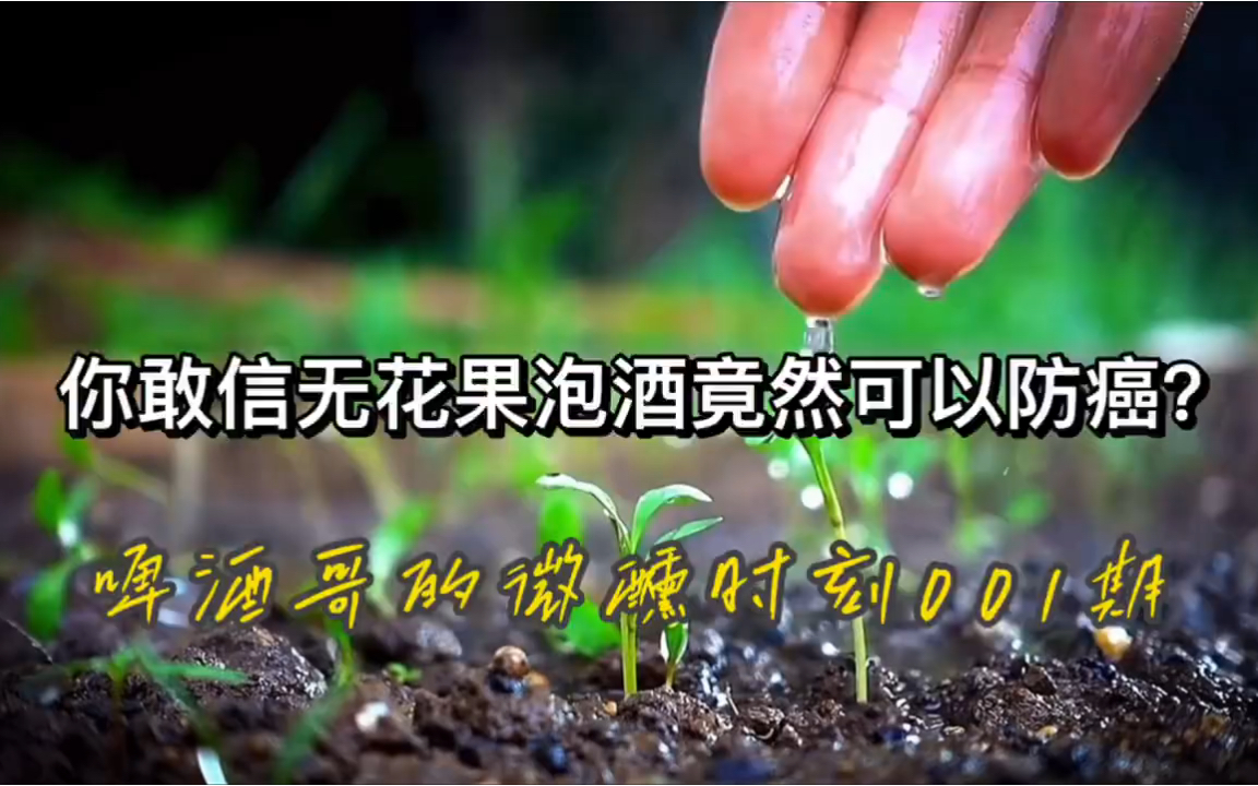 微醺时刻之无花果竟还有防癌软化血管的功效