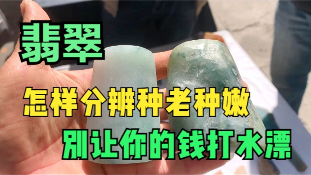翡翠,无论是冰种还是糯种,一定要种老,种嫩会让你的钱打水漂