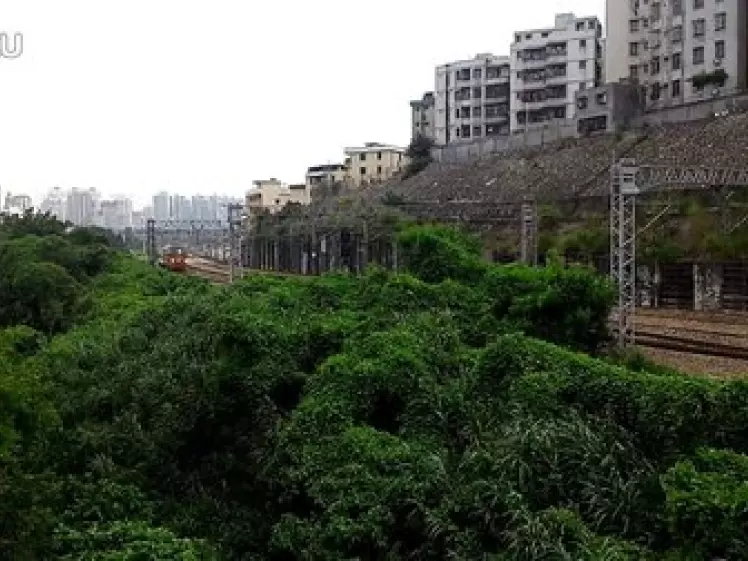 【火车视频】DF4B3811假橘子跑T8370