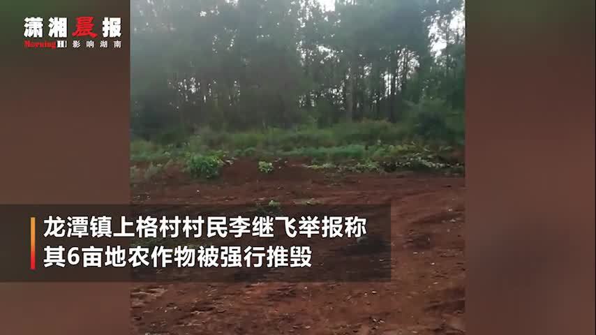 因赔偿协商未果 村民称其600多棵花椒树被强行铲毁 村干部:他同意了的