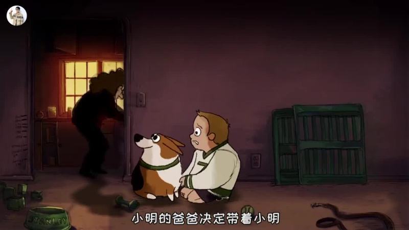 温馨动画《狗与丧尸》,小柯基远行千里大战丧尸,只为回到主人身边