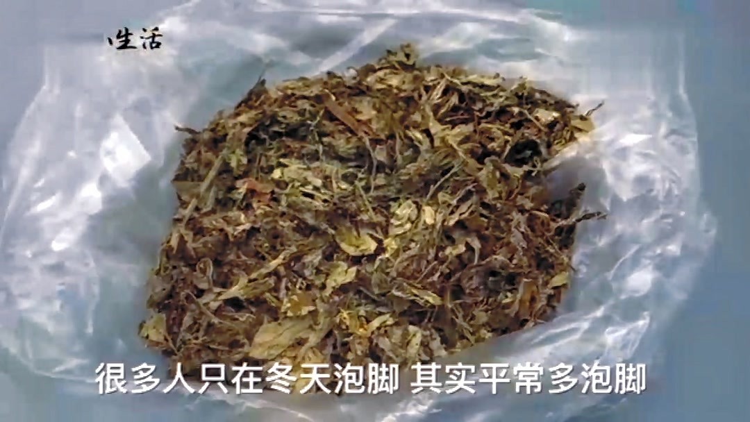 艾草泡脚厉害了,这作用花钱都买不到,活了25年才知道!