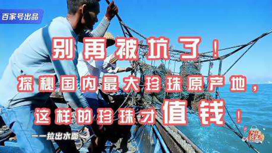 别再被坑了!探秘国内最大珍珠原产地,这样的珍珠才值钱!