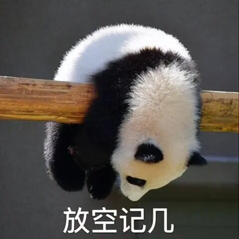 今天是哈哈哟 
