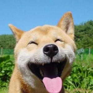 一地鸡毛路过人间 