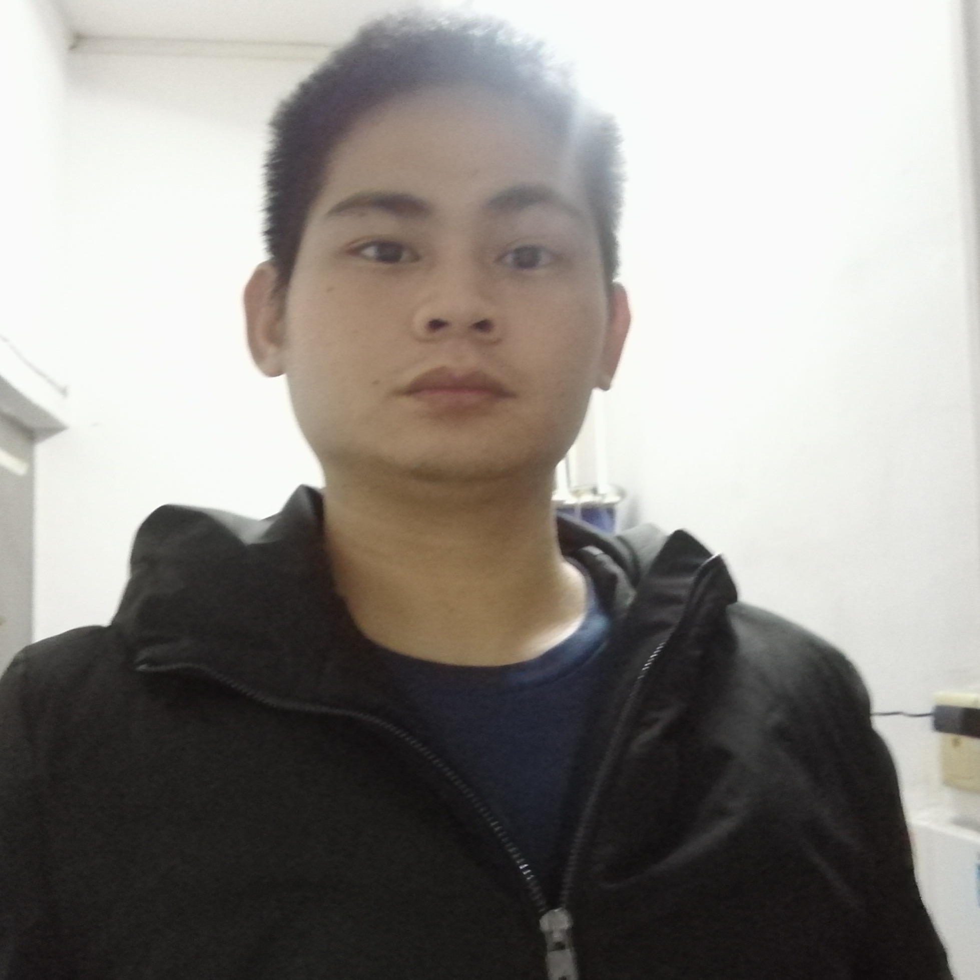 达意鹏城记 