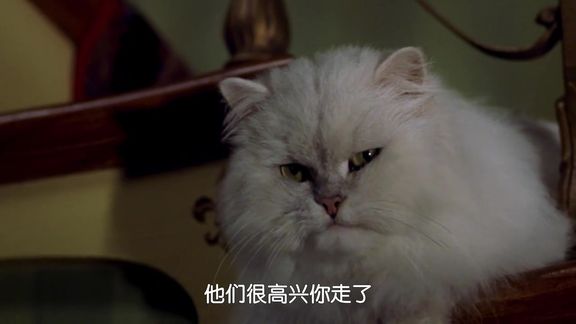 老鼠历经千辛万苦,终于成功活下来,这段堪称电影最精彩片段!