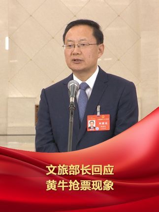 文旅部长回应黄牛抢票现象:采取了2项硬性措施!