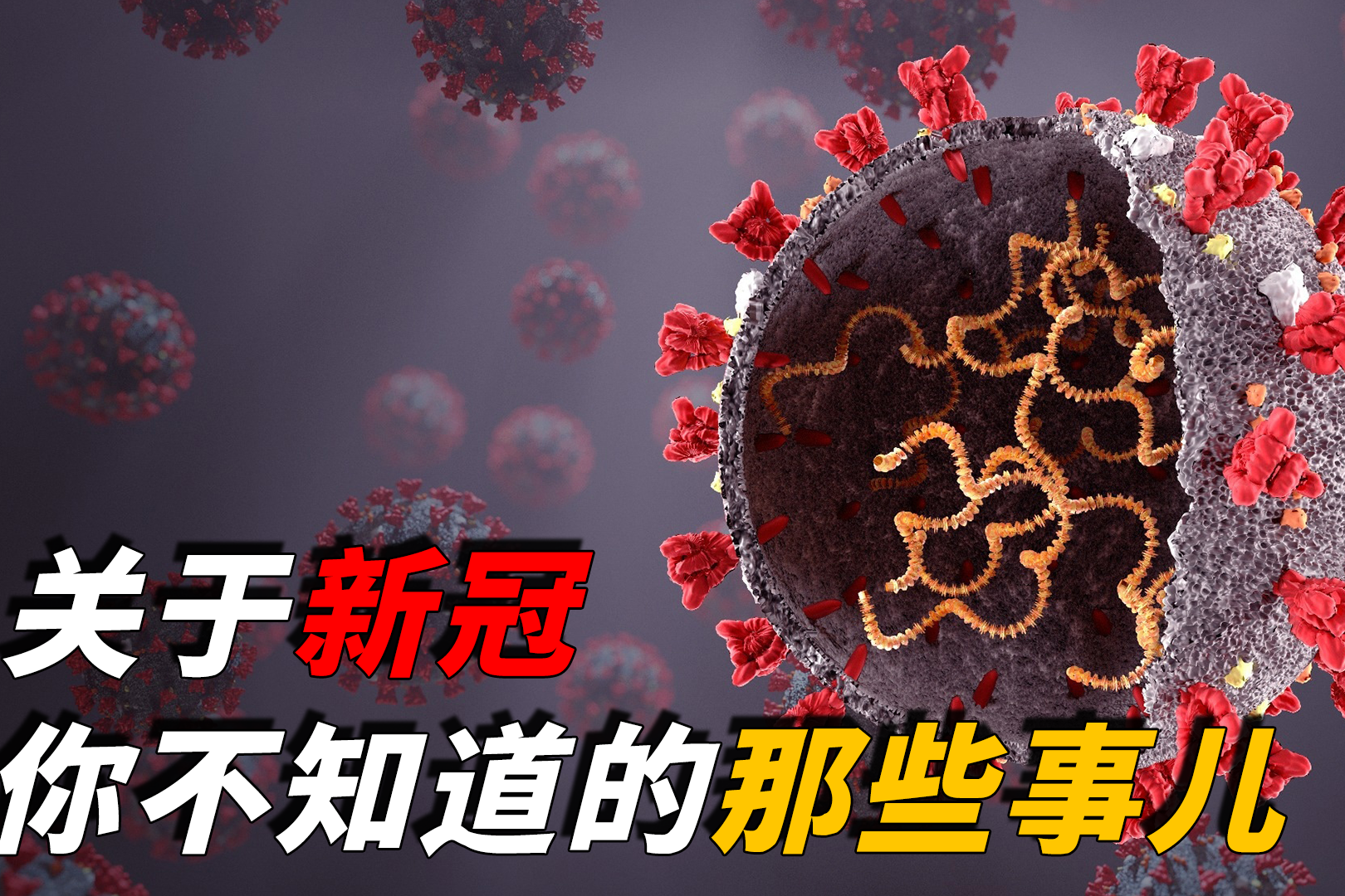 深入了解新冠病毒,600万人死亡不是结束,疫苗要如何保护我们