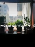 蛛丝发射器0.1版本