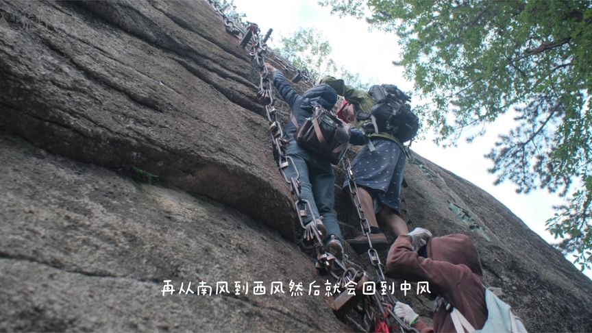 夏季夜爬华山偶遇一家小动物有谁知道是啥么