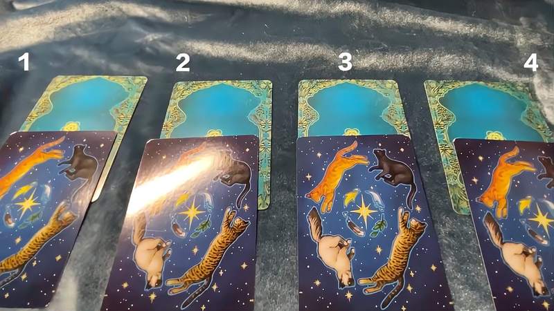 星球塔罗:你心中对象对这段关系的看法?这一刻他在想些什么?