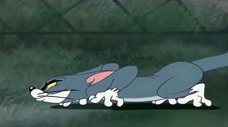 动漫《猫和老鼠传奇》，非常经典爆笑的片段，带大家欣赏一下！