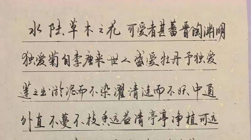 莲之出淤泥而不染 爱莲说 古诗词硬笔书法 实用行书