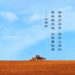 笑谈历史故事的猪猪 