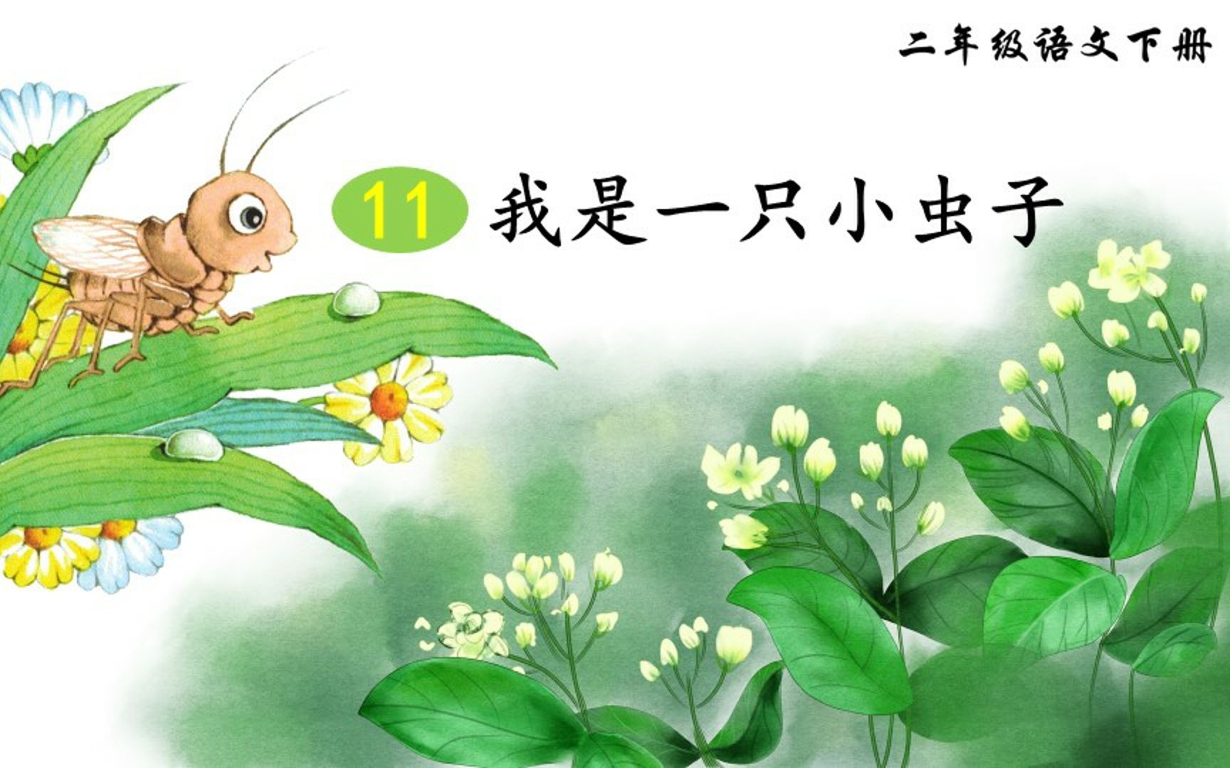 二年级语文下册课文11《我是一只小虫子》教学PPT课件设计