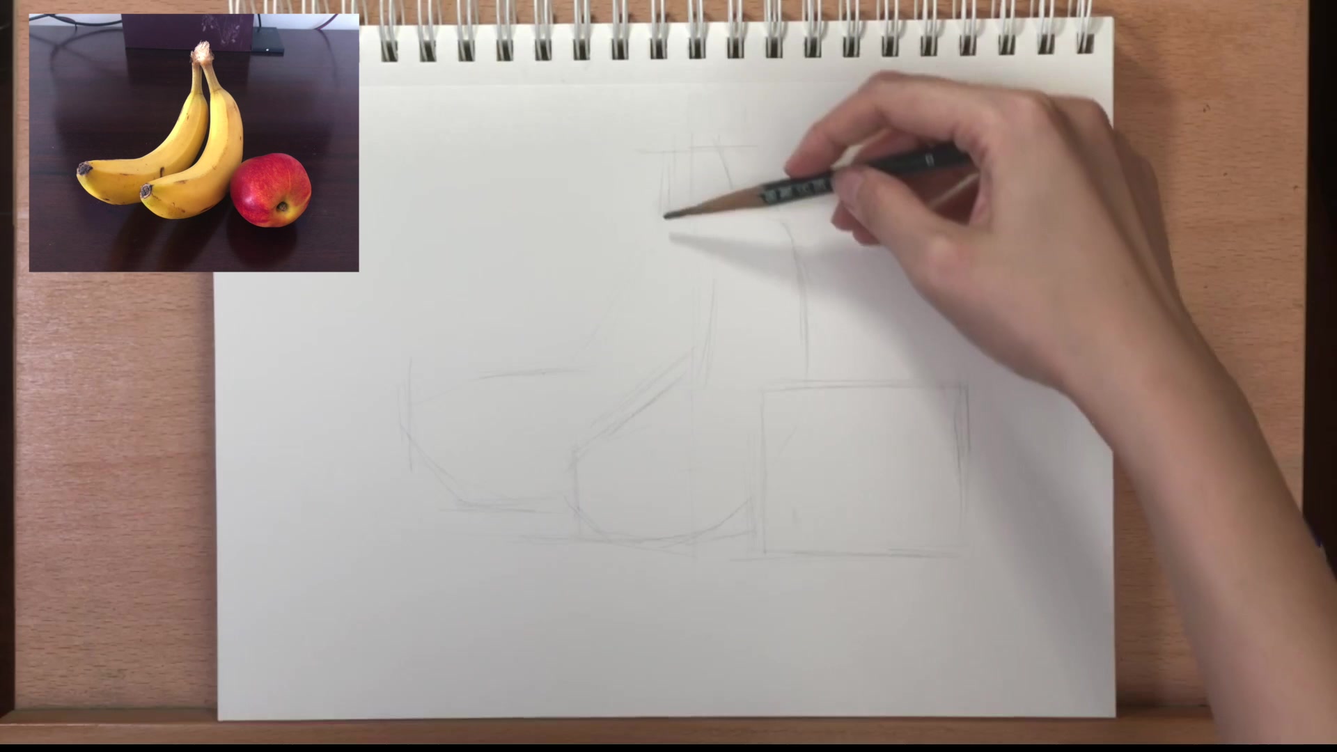 猫二陪你画画07 - 非几何图形的开始 - 画一组水果 【绘画教程】【原速】