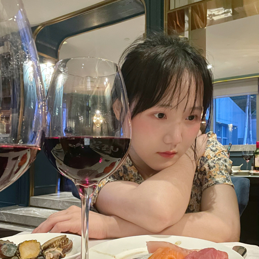 宗介24 