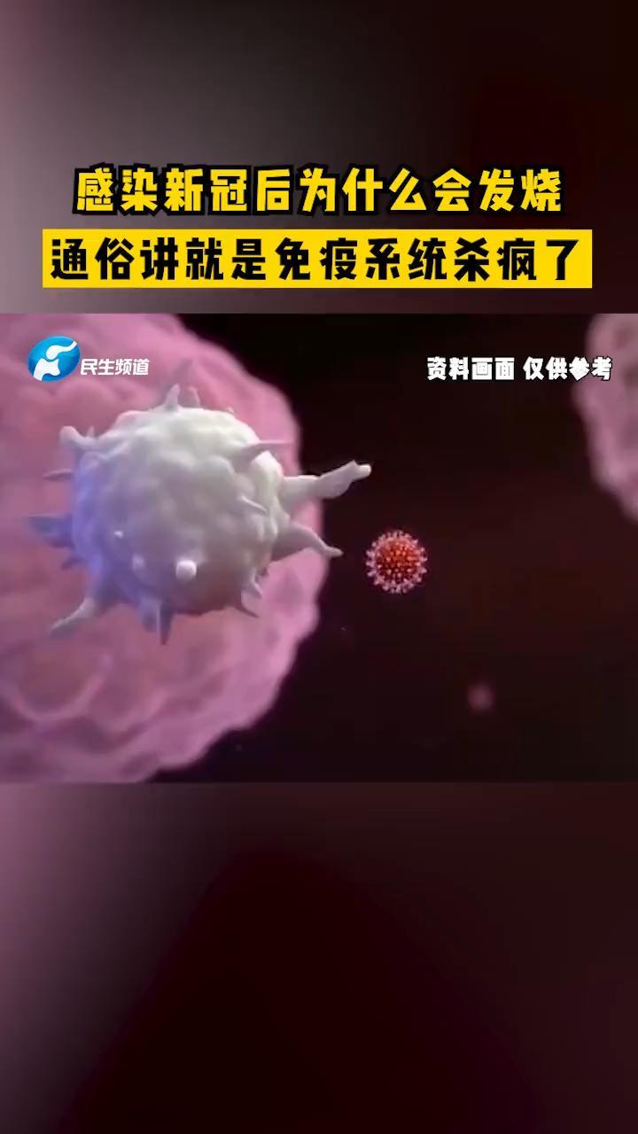 感染新冠后为什么会发烧?通俗讲就是免疫系统杀疯了