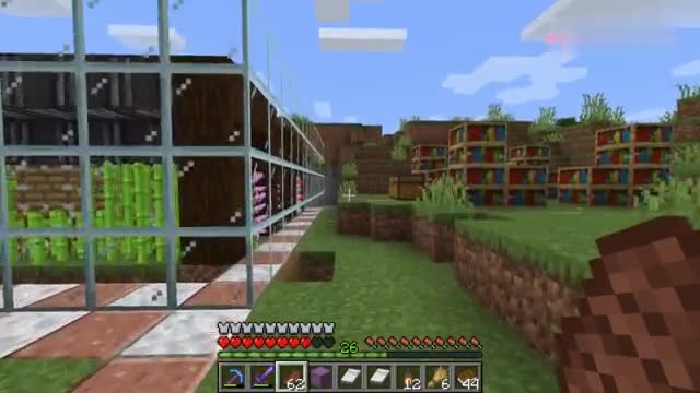 MC大白我的世界116原版生存,大师村民的养成之路!