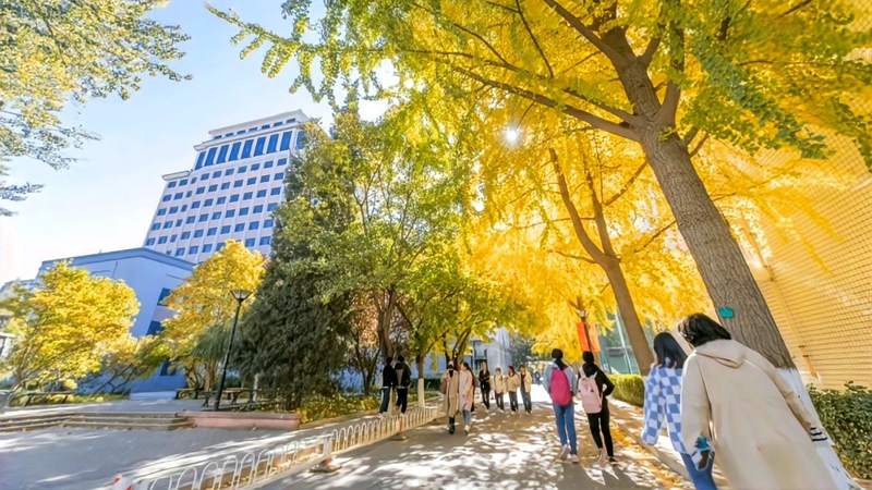 高校印象|中央财经大学