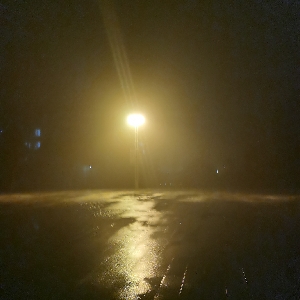 巴别塔的幻想乡 