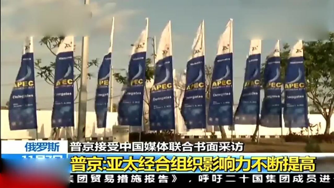 普京:亚太经合组织影响力不断提高