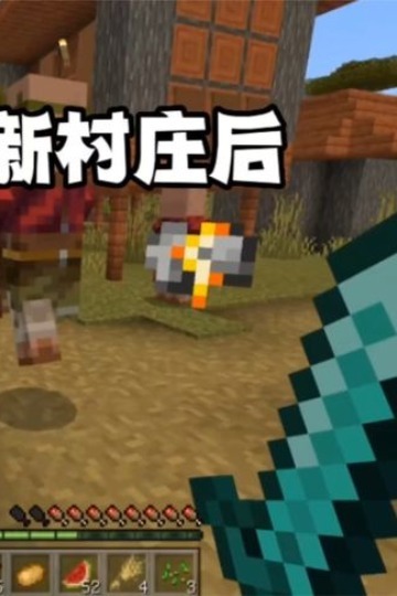 我的世界:这是不是你以为MC更新村庄后的操作?