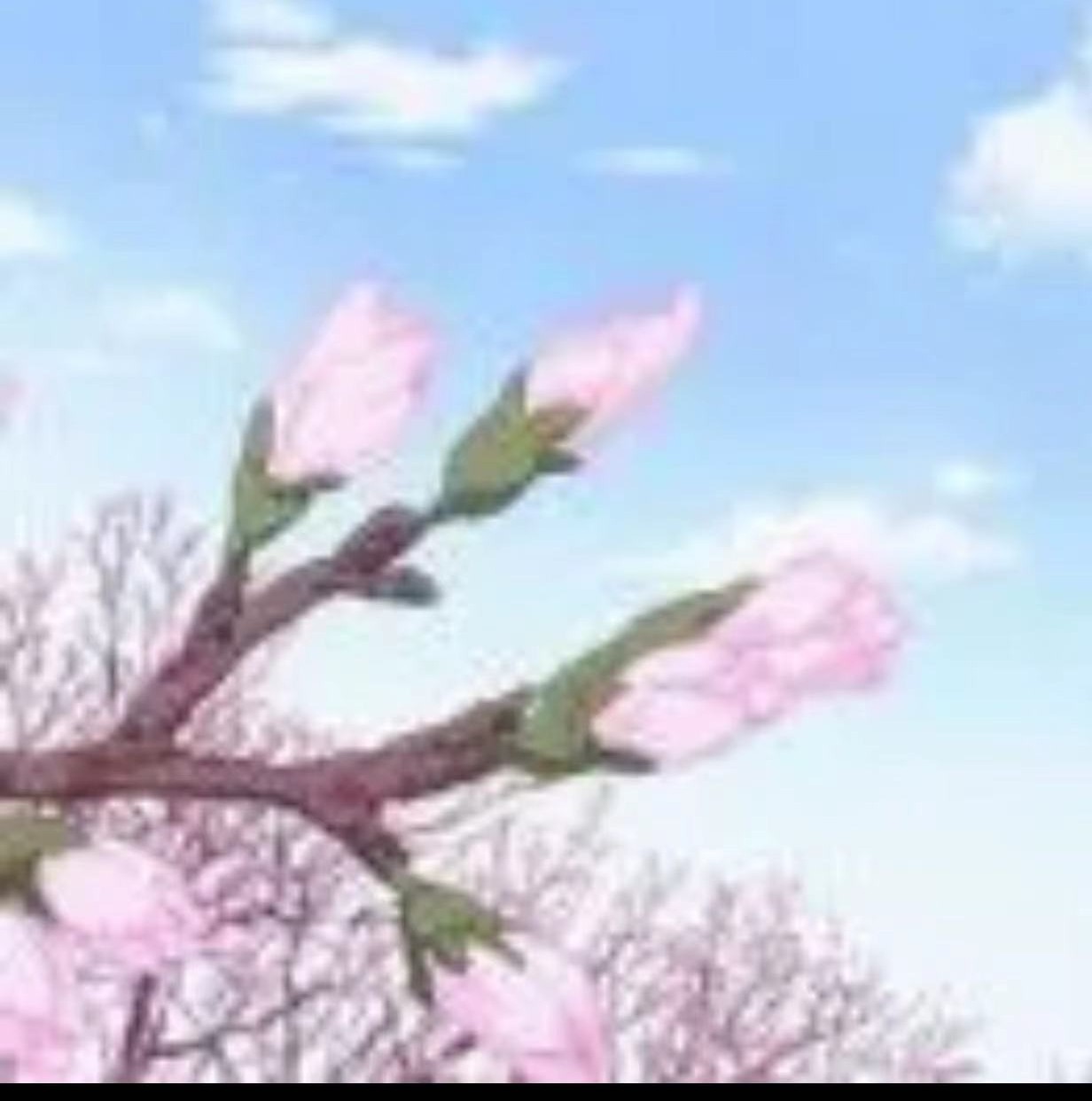 怪才小奇爱动漫 