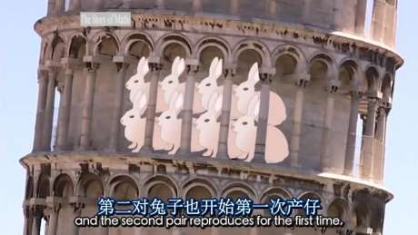 数学的故事,第二集,东方奇才