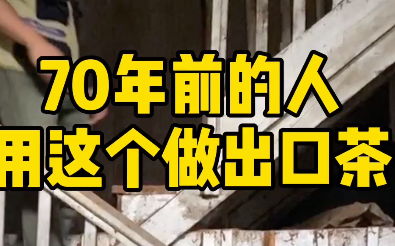 你敢信?70年前他们竟然用它做出口茶?|茶山TV 71