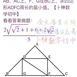 卜神数学初中 