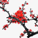 红妮小子 