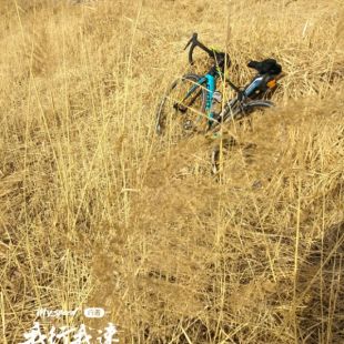 人世间的一粒浮土 