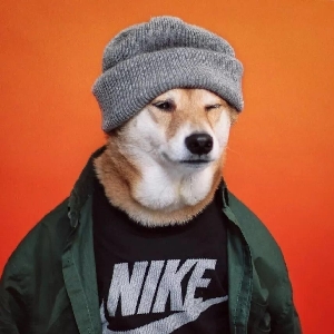 嗨皮小分队队长 