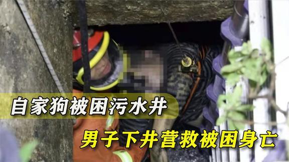 男子勇救自家狗被困污水井身亡,网友质疑:遛狗为啥不牵绳?