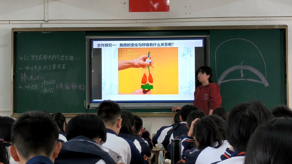 七年级生物下《4.3.2 发生在肺内的气体交换》①