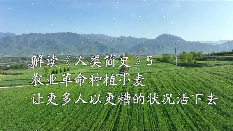 农业革命人类种植庄稼,让更多的人以更糟的状况活下去